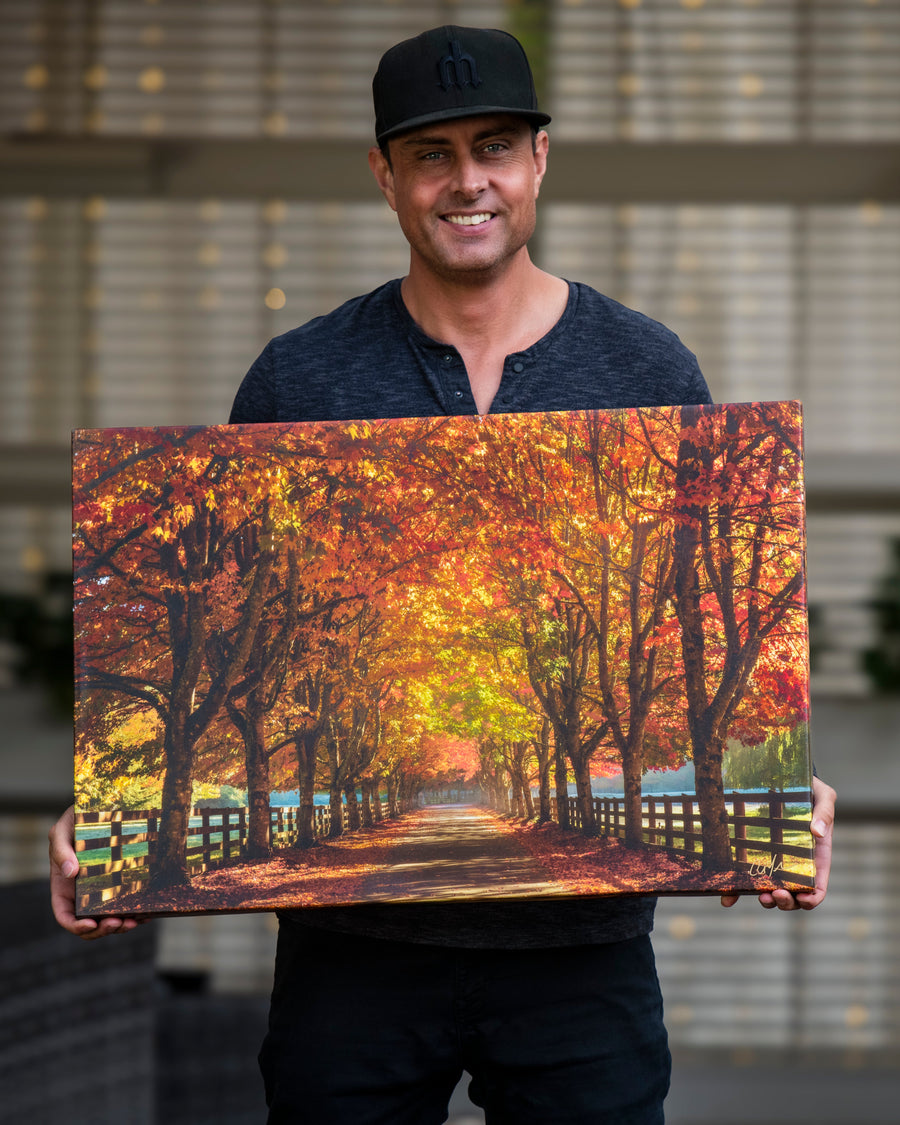 Chris Fabregas Fine Art Photography | Nature-Inspired Home Décor Print